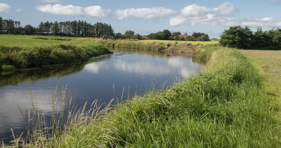 Meir kantsone langs elvane | Naturvernforbundet i Rogaland
